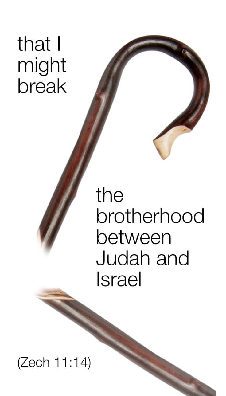 Zechariah and the Shepherd of Israel (3) – The Lampstand Magazine
